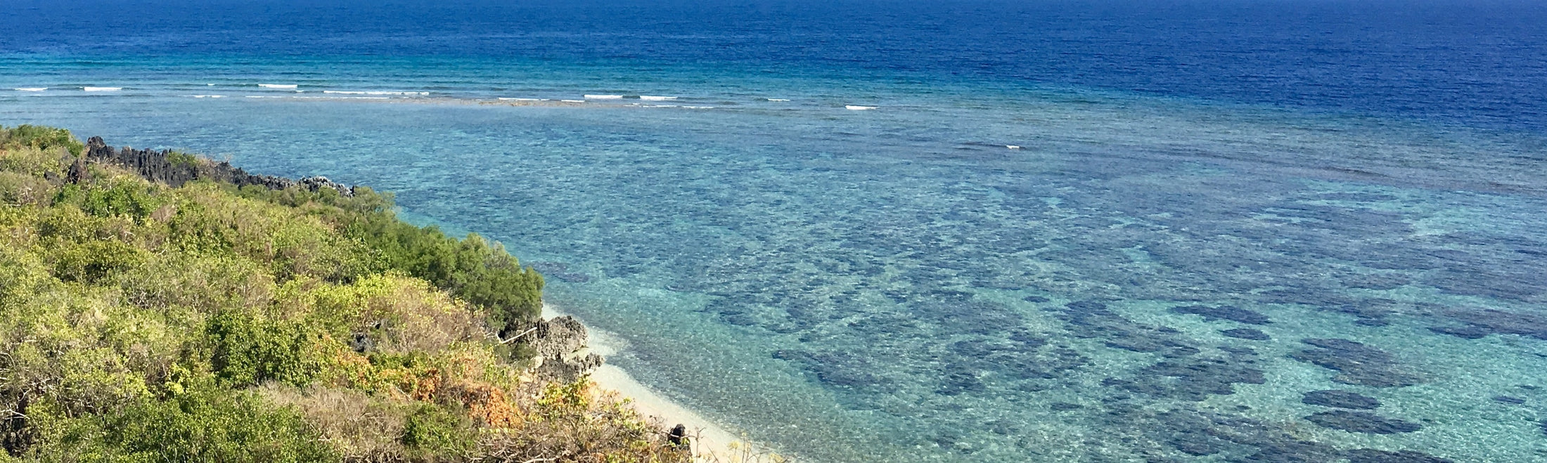 Where do Nutshell's colors come from? – Nutshell Coolers