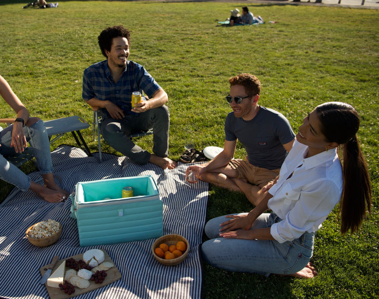 Meet 6 impactful brands that go perfectly with Nutshell – Nutshell Coolers