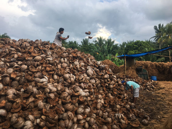 Nutshell Coolers: Made from Coconuts